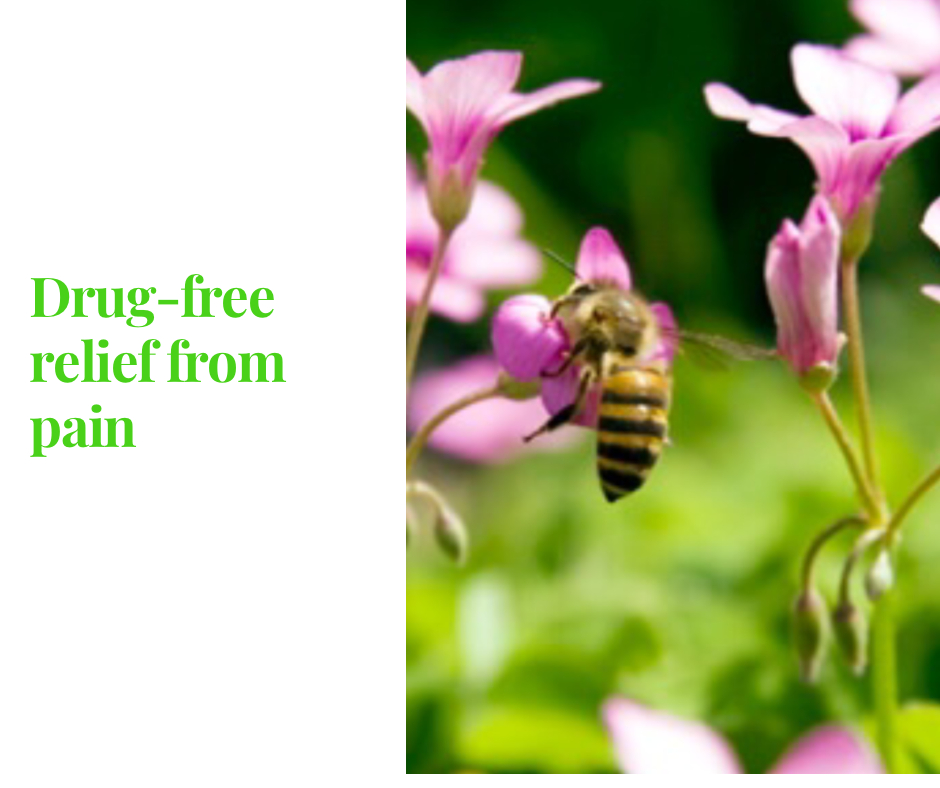 Dr. Sharon Wardle Chiropractor | Chiropractor | North Ryde | NSW